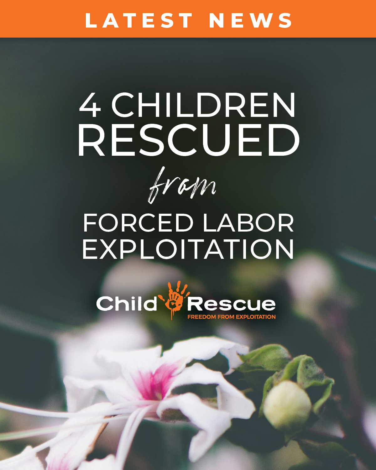 4 Children Rescued From Forced Labor Exploitation - Child Rescue | Child Rescue
